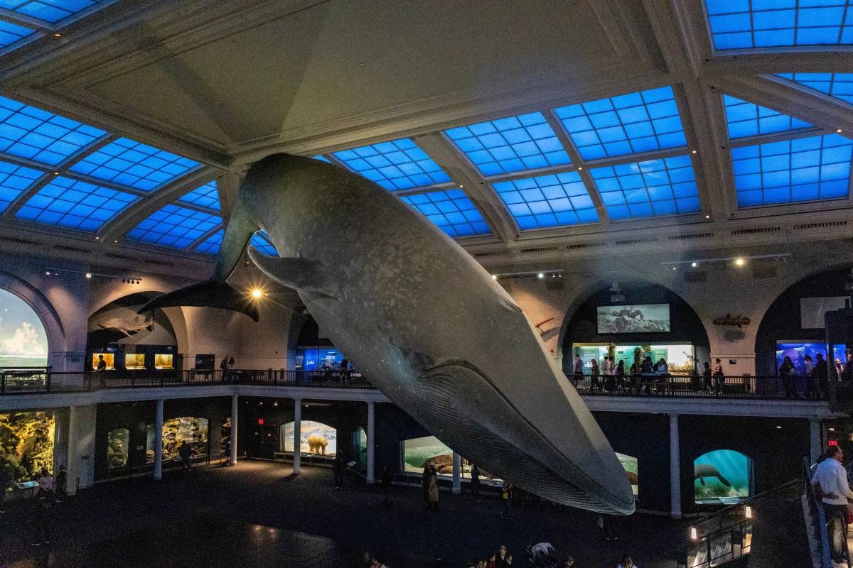 Depois de uma temporada esgotada, o Sleepovers at NYC's Museum Of ...
