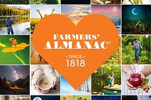 After More Than 200 Years, The Farmers' Almanac Is Officially Coming To ...