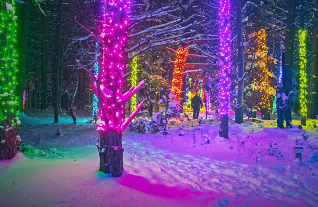 This Dazzling Natural Winter Wonderland Is A Short, Scenic Trip From ...