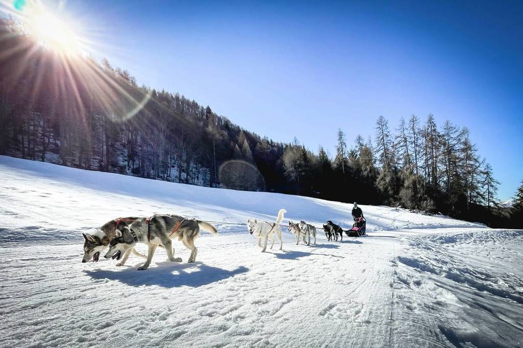 This Fairytale Town 5 Hours From NYC Lets You Take A Dog Sled Across A ...