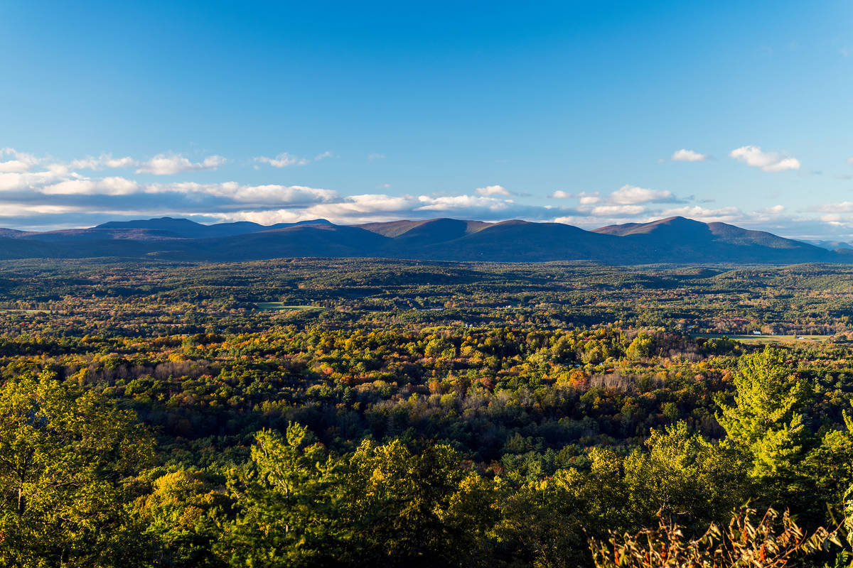 NY’s ‘Greenwich Village Of The Woods’ Is Just 90 Minutes From NYC ...