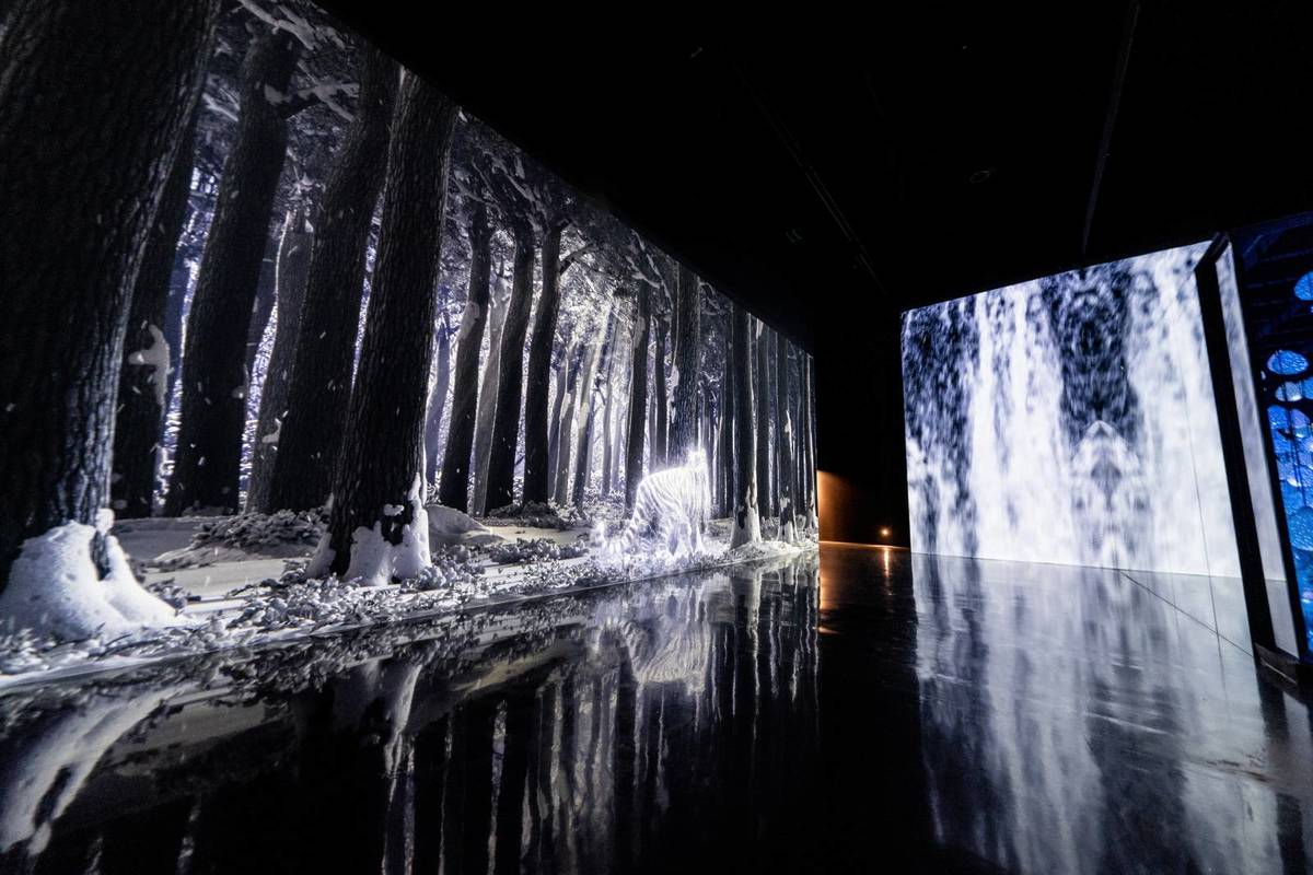 Arte Museum New York Belongs On Your NYC Bucket List