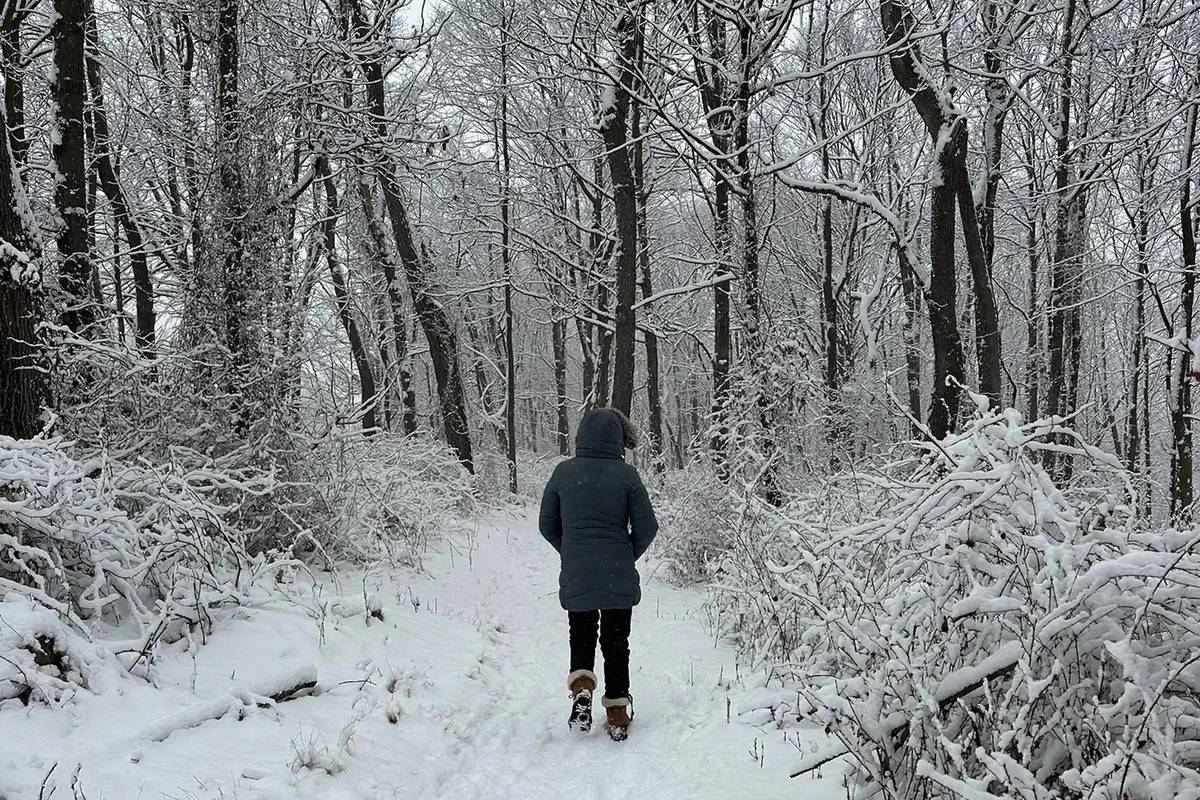 This 358-Mile Winter Hiking Trail Starts On A NYC Subway Platform — And ...