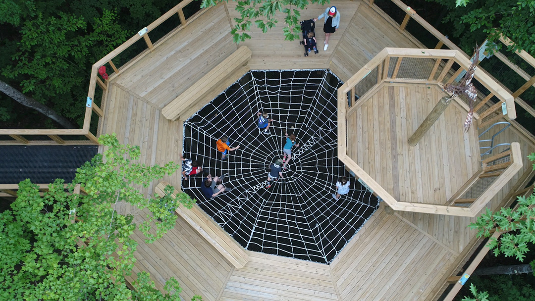 One Of The Highest Treetop Walkways In The Northeast Lets You Walk ...