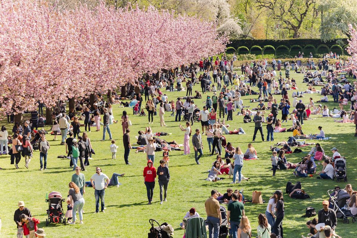 The Best Things To Do In NYC This Spring 2026: Cherry Blossoms, Museum ...