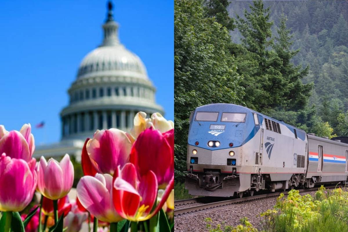 Amtrak Is Offering Rides From NYC To Washington, D.C. For Just $25 ...