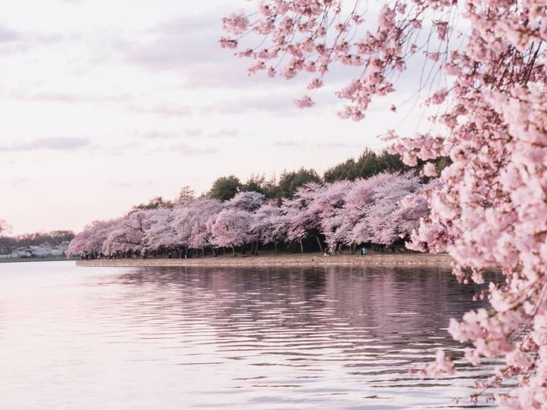 Amtrak Is Offering Rides From NYC To Washington, D.C. For Just $25 ...