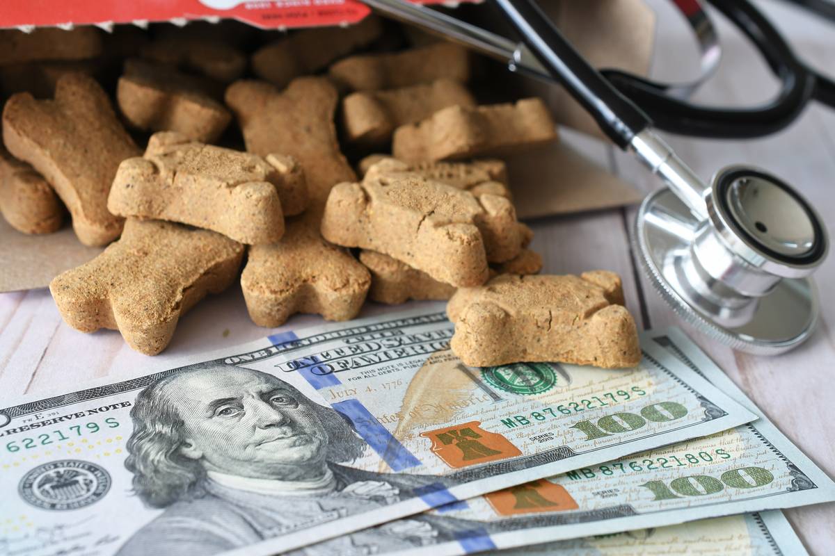 New York Pet Owners Could Claim Up To $900 Back at Tax Time: Here’s Who ...