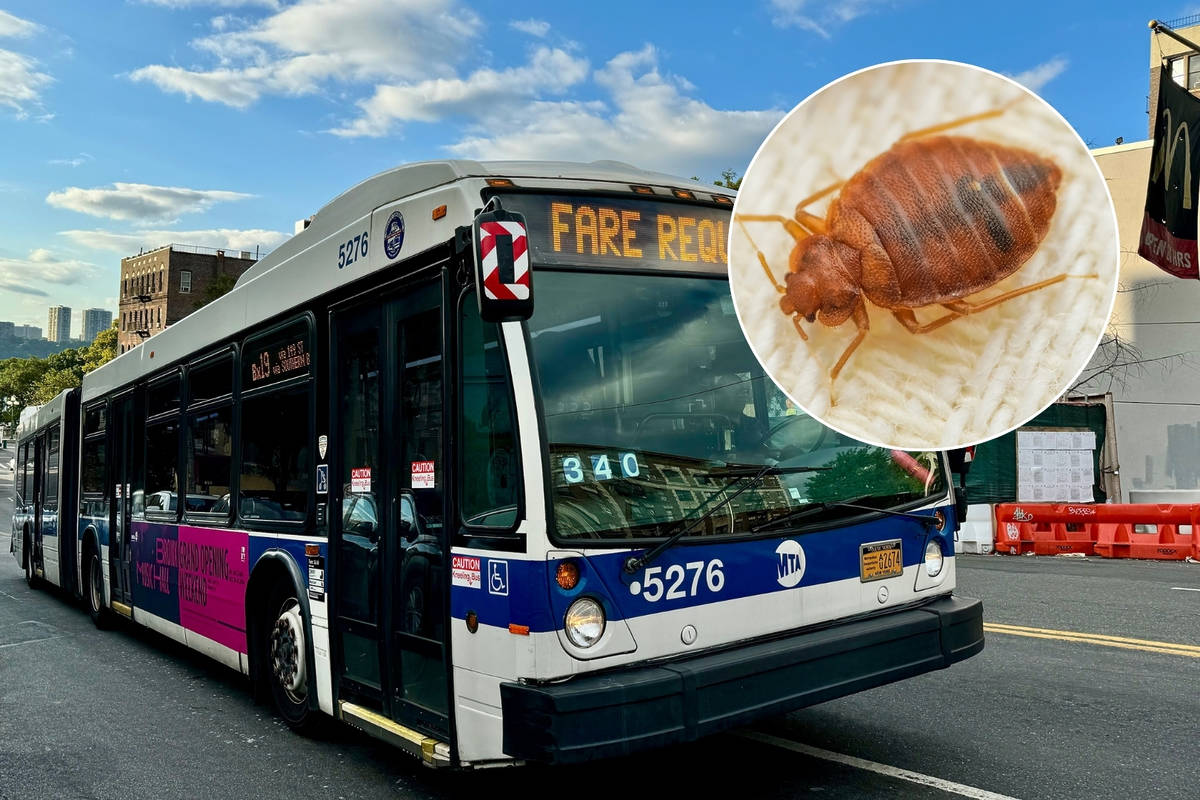 A New NY State Bill Will Force The MTA To Issue Subway 'Bed Bug Alerts ...