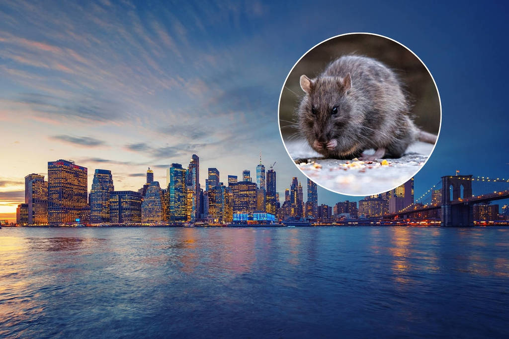 National Geographic reveals scientists are using the East River as a ...