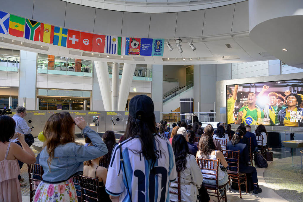 The best things to do in NYC during the 2026 FIFA World Cup: free 5 ...