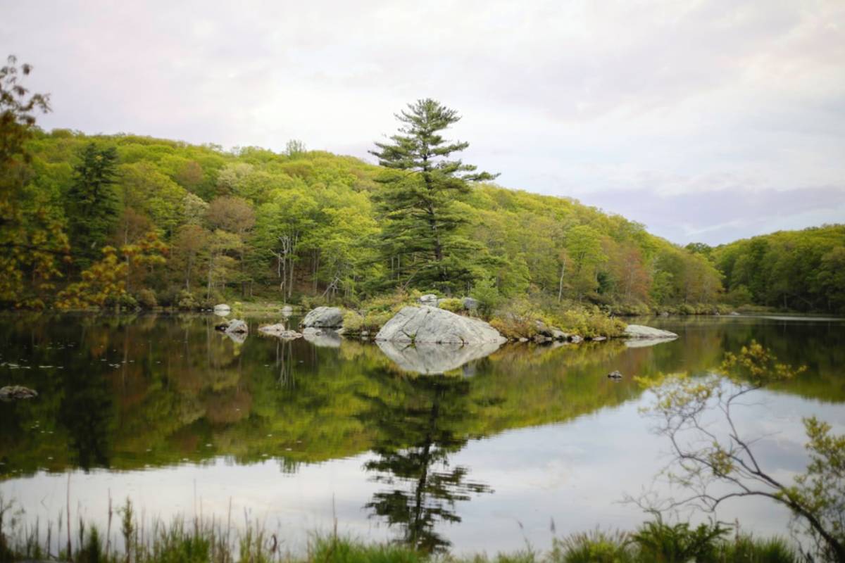 After 15 years of being closed, this massive historic lakefront camp is ...
