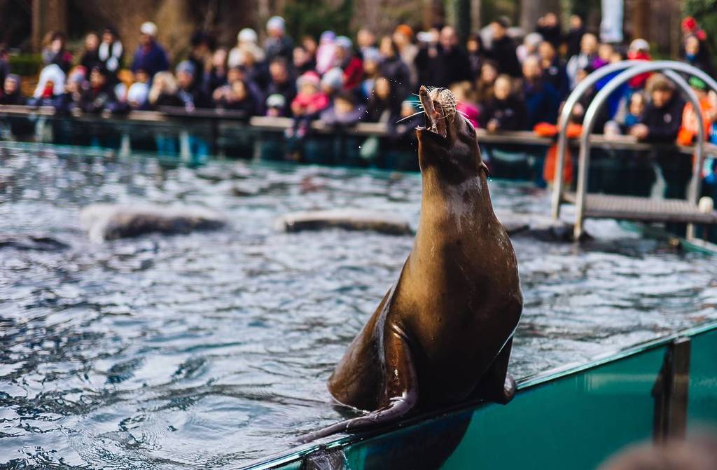 Tucked away in Central Park: this 7-acre zoo houses Manhattan’s only ...