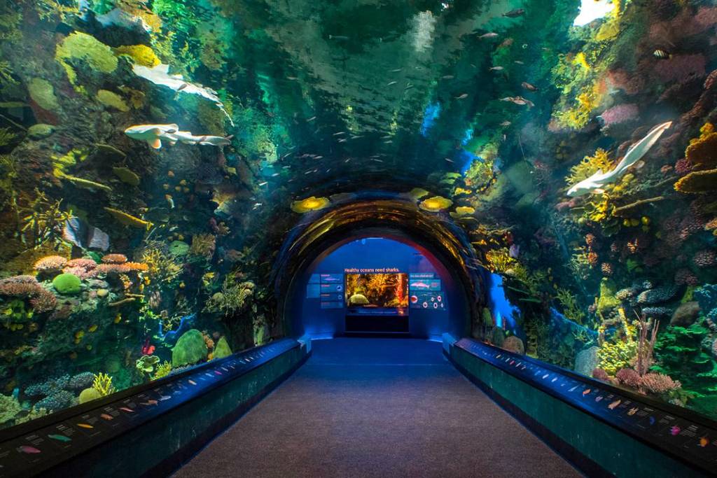 Le plus grand aquarium de New York lance ce week-end une grande fête de ...