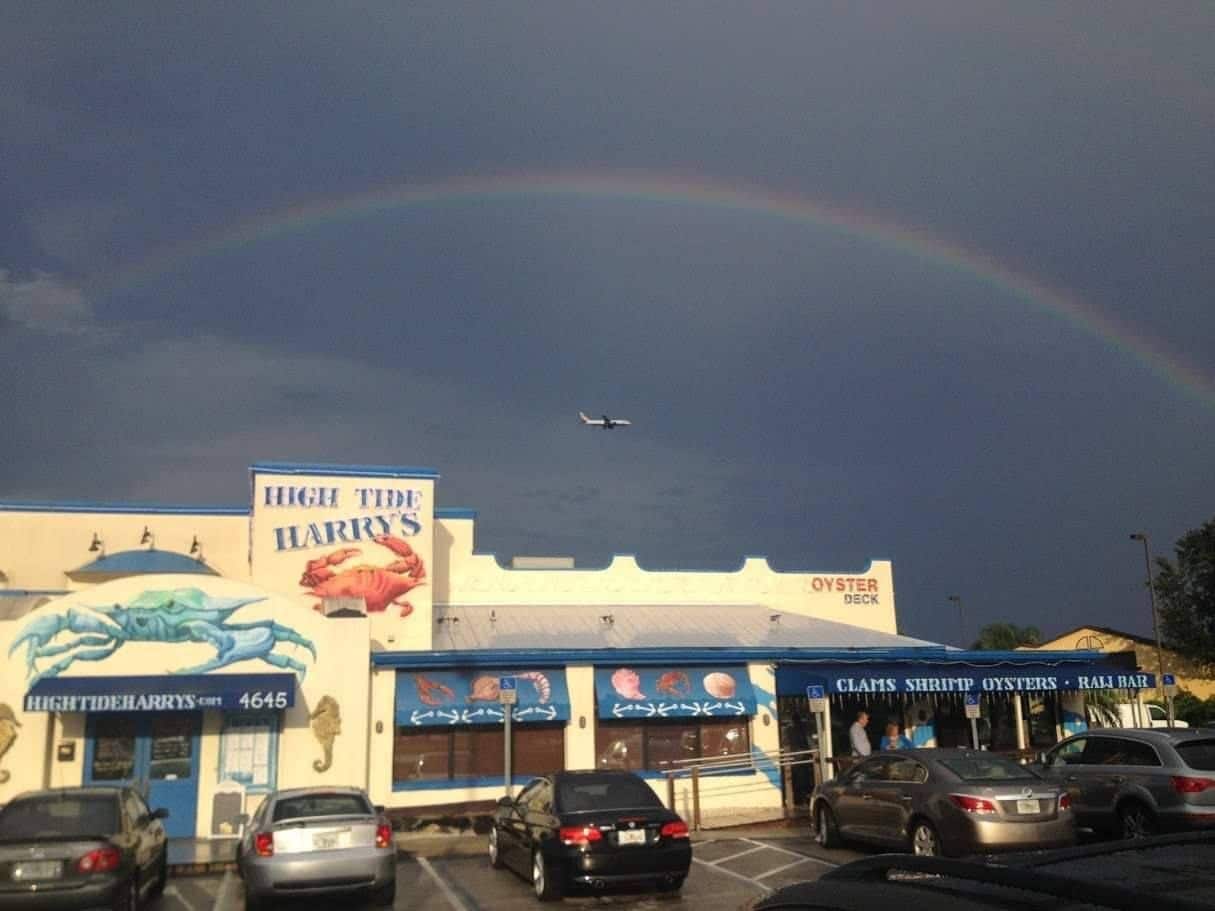 9 Seafood Restaurants In Orlando That Are An Absolute Catch