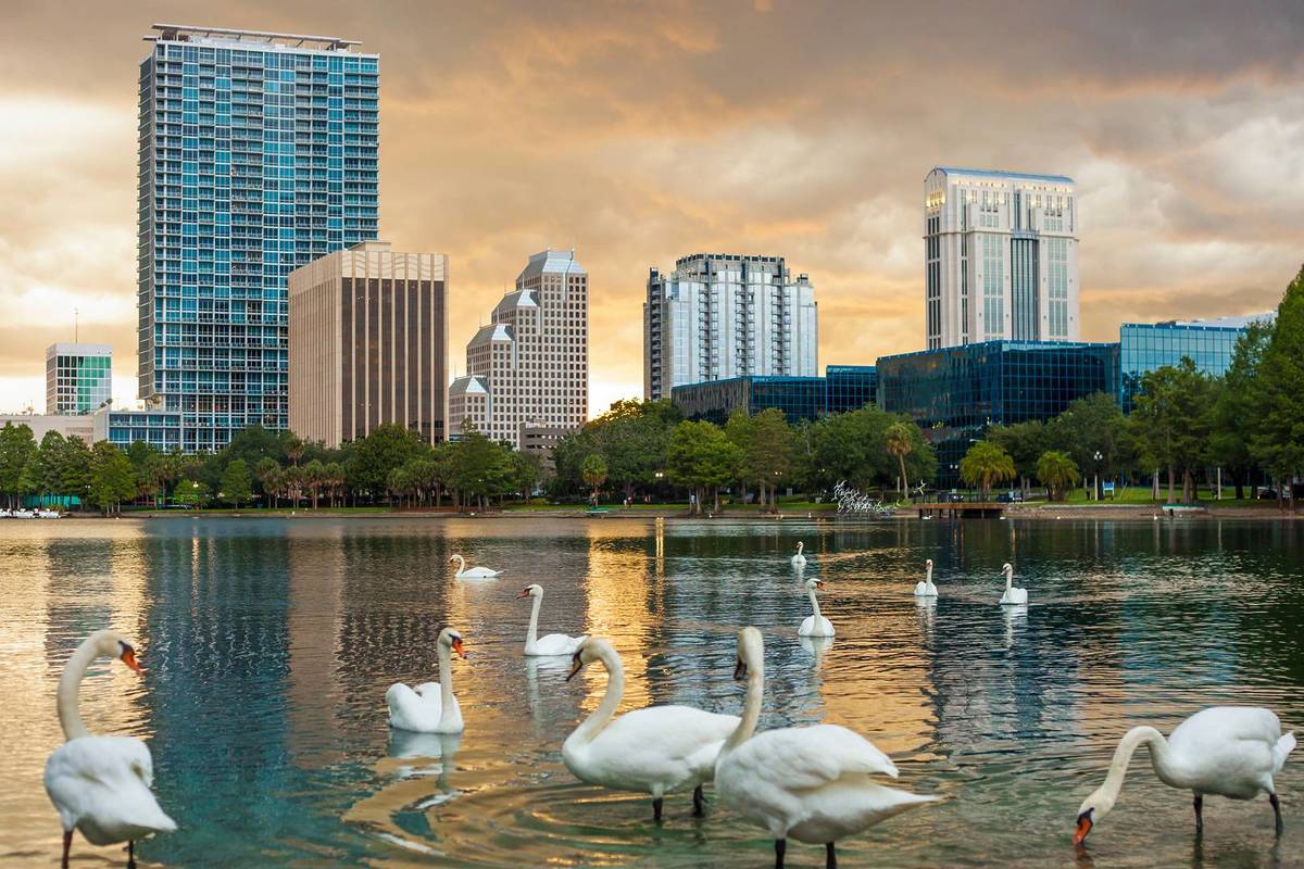 16 Engaging After-Work Activities In Orlando, Florida