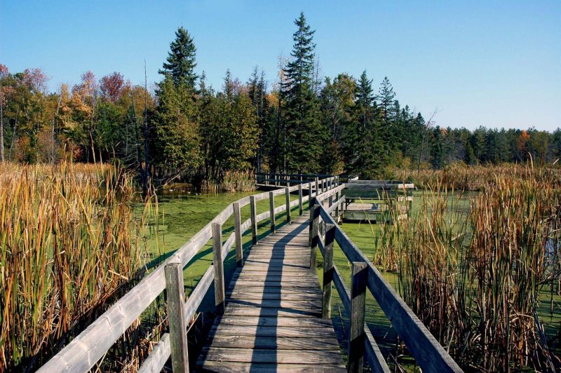 5 Of Ottawa's Greenbelt Trails To Visit This Week