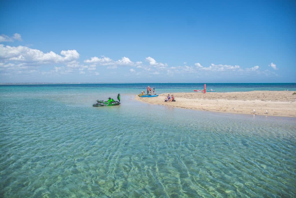 Get Up Close With A Colony Of Little Penguins On Penguin Island