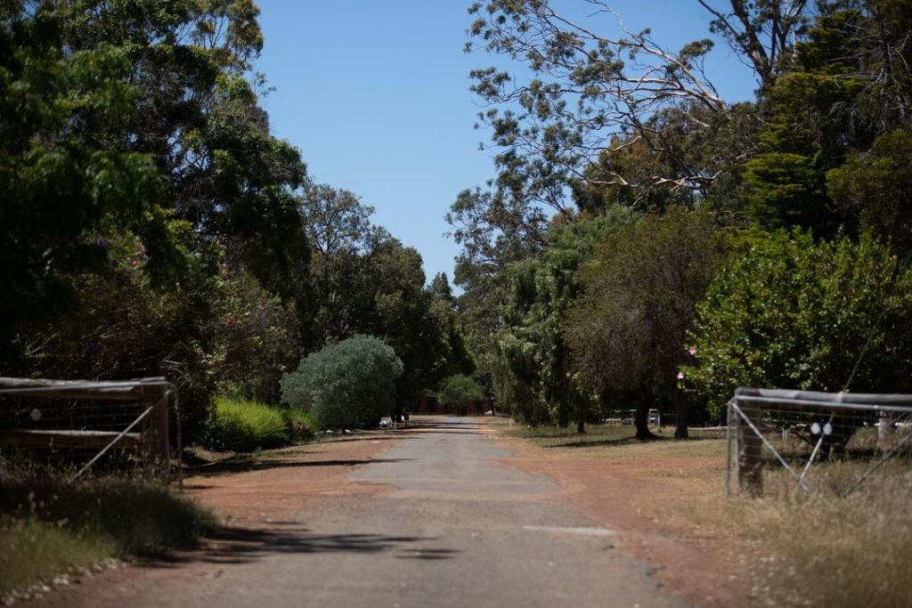 Electronic Music Festival, Roam Has The Go-Ahead For March 2023