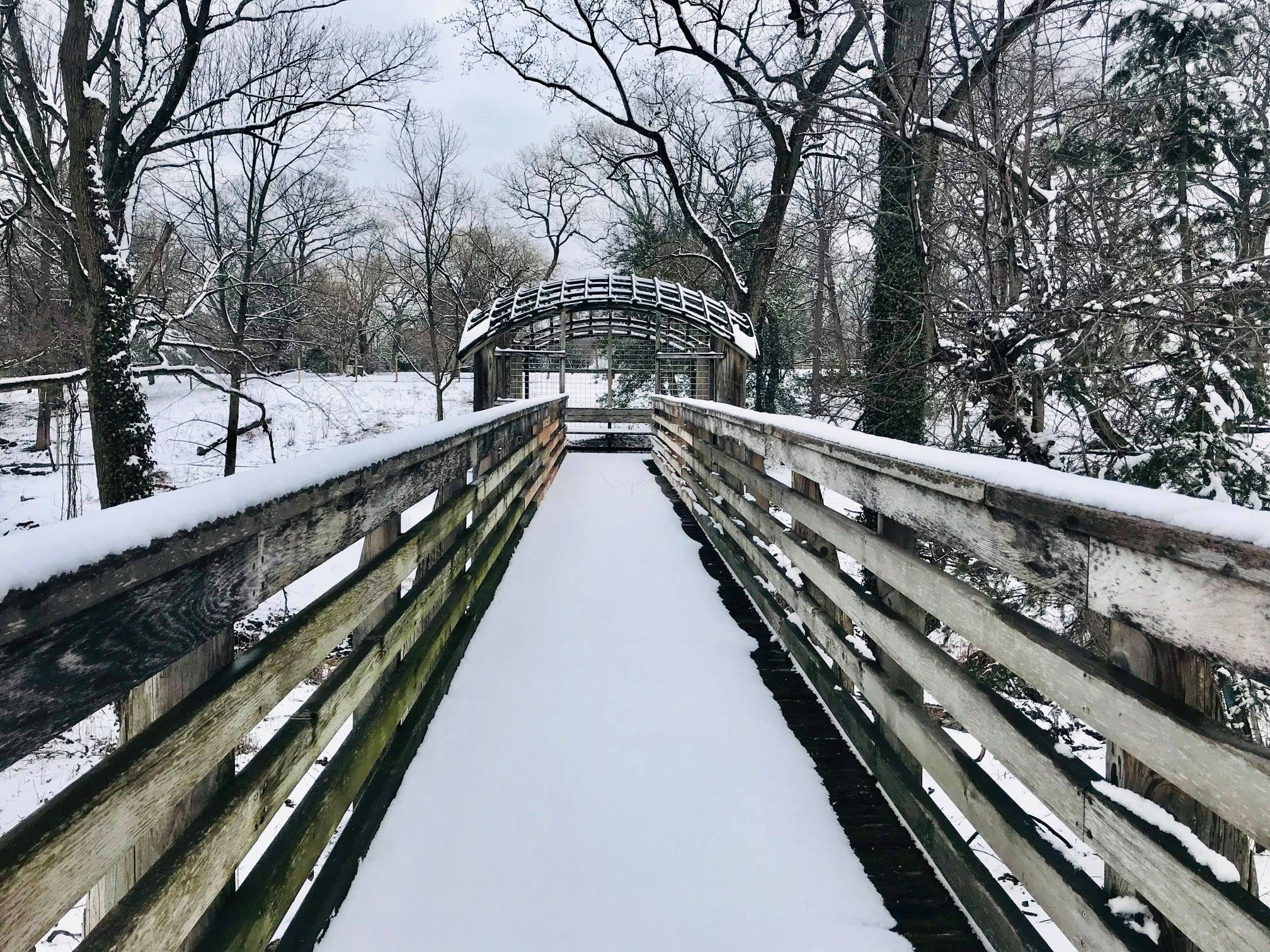 Discover Fairmount Park's Hidden Gems With This Wonderful Winter ...