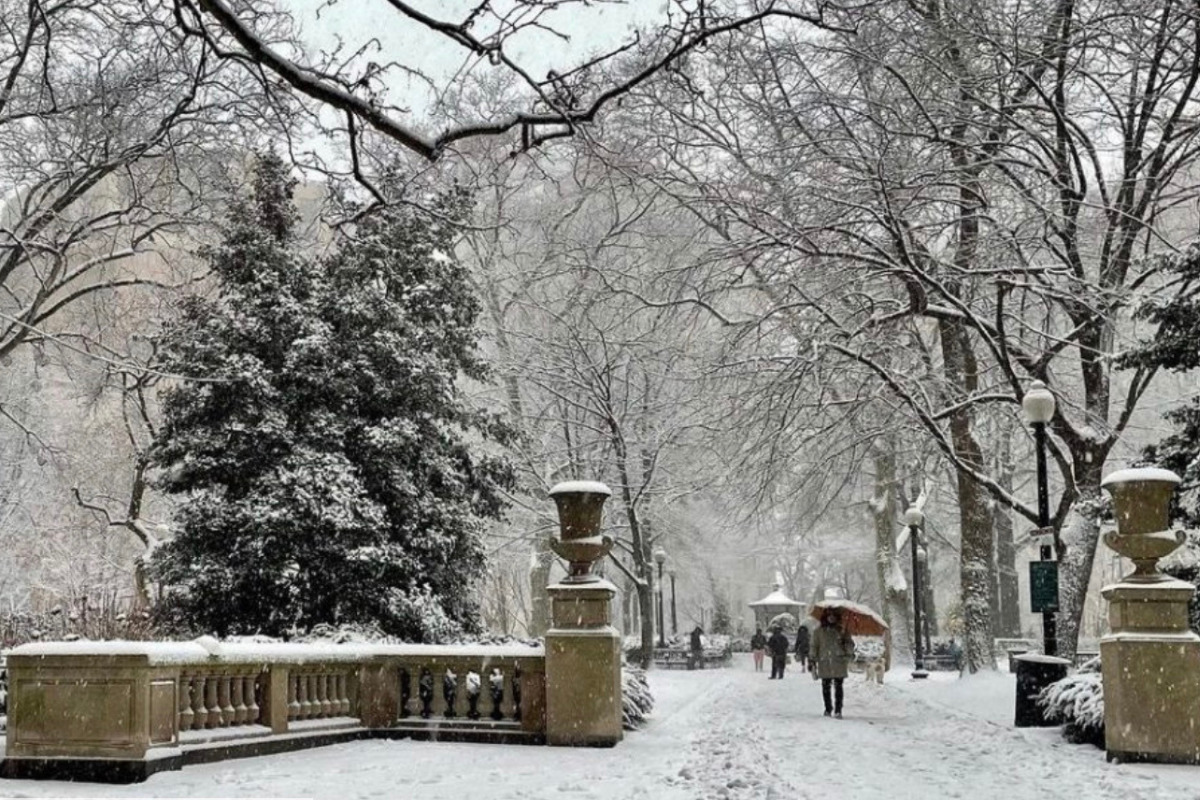 19 Photos Of Philly Looking Like An Absolute Winter Wonderland