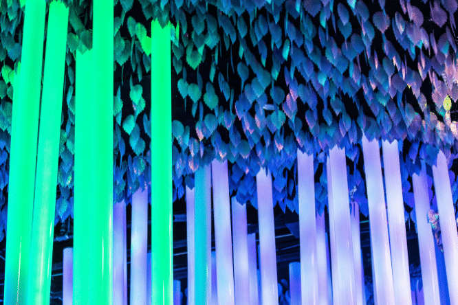 6 Mind-Blowing Immersive Experiences In Philadelphia To Try Now