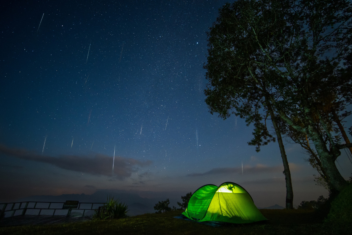 The Geminid Meteor Shower Will Dazzle US Skies This Week