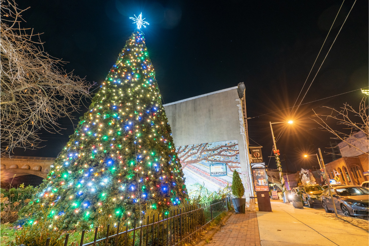 7 Colorful Christmas Trees To See This Season In Philly