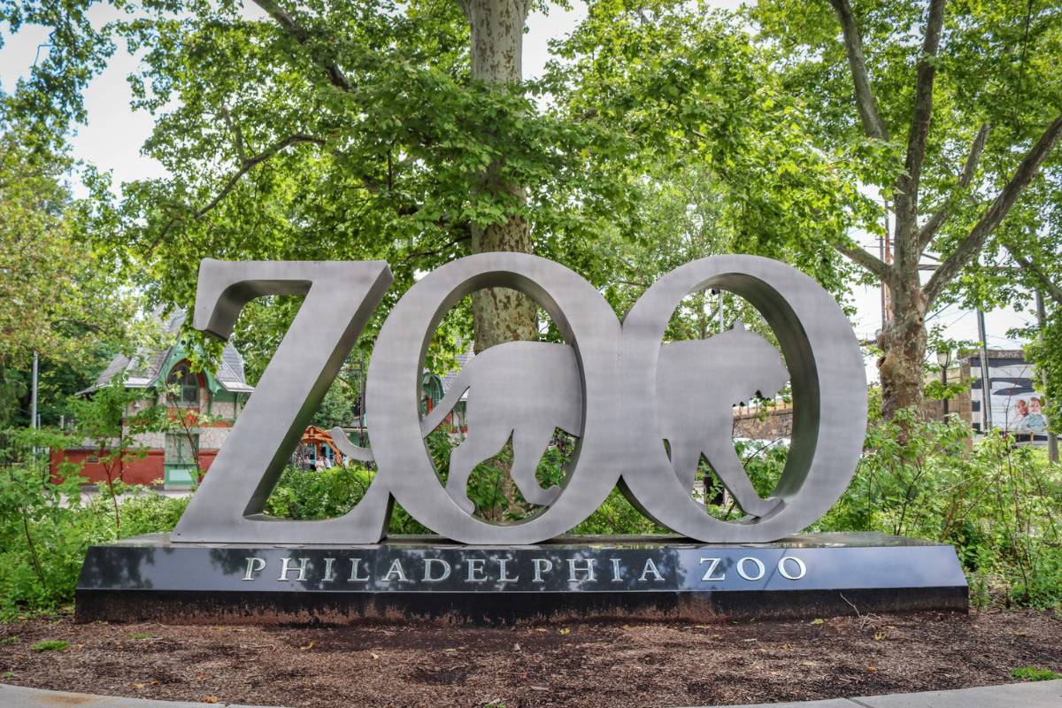 The Philadelphia Zoo Is Gearing Up To Celebrate 150 Years