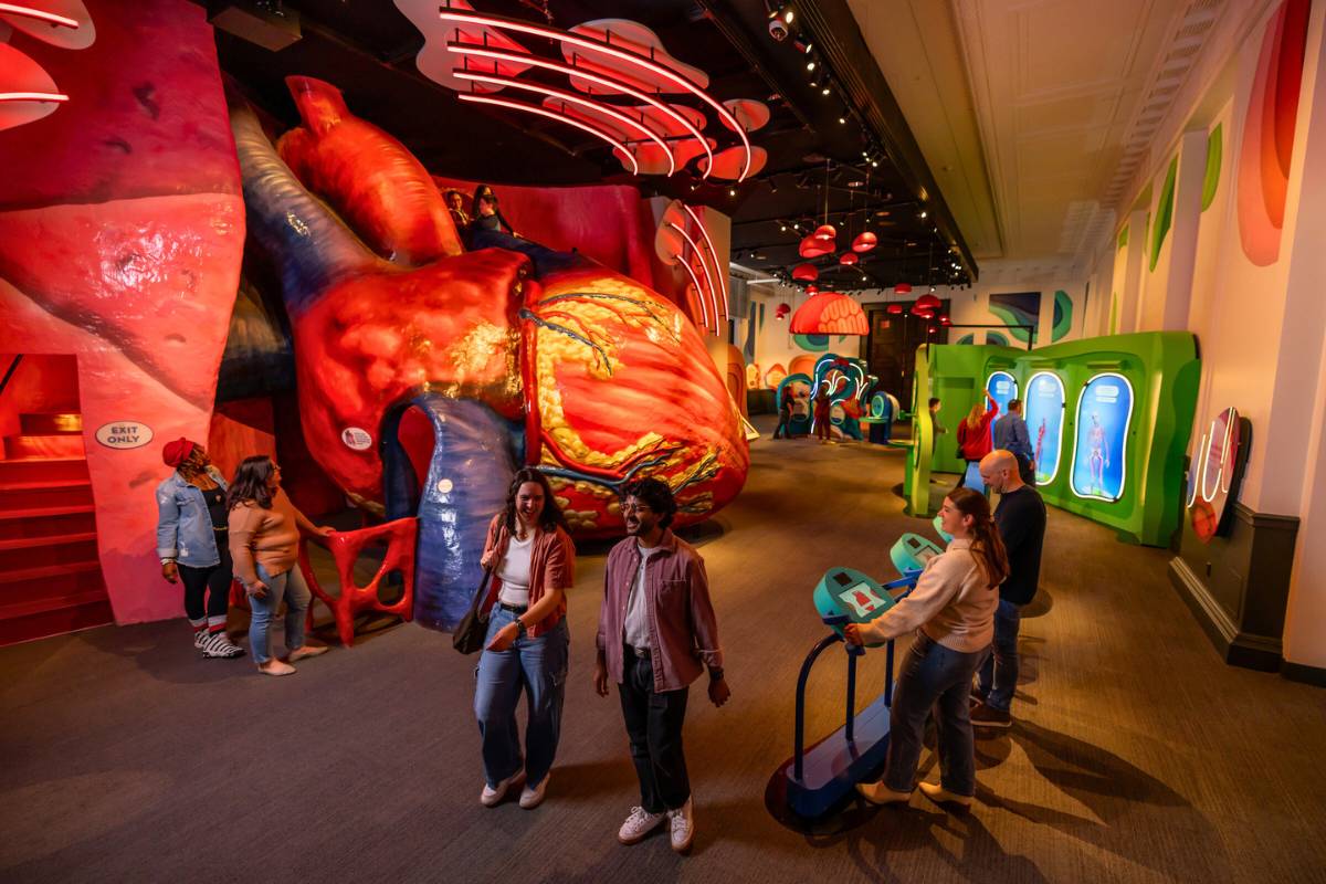 Here Are The Free Museum Days In Philadelphia This Summer