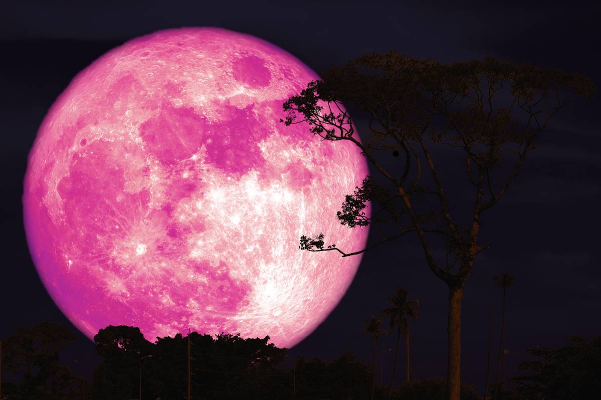 April's Pink Moon: What To Know And How To See This Micromoon
