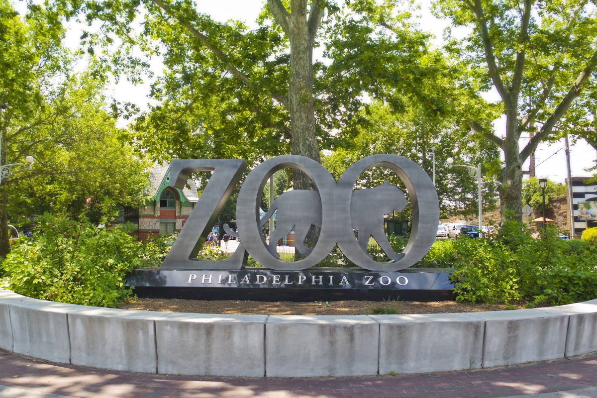 The 3 Top Zoos In The Philadelphia Area