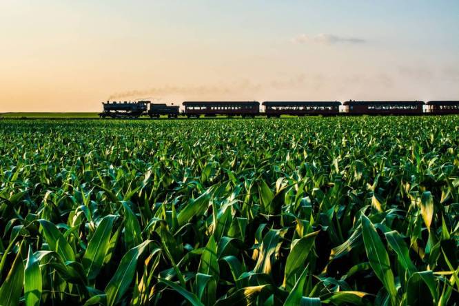 America's Oldest Railroad Takes Passengers On A Scenic Fall Foliage ...