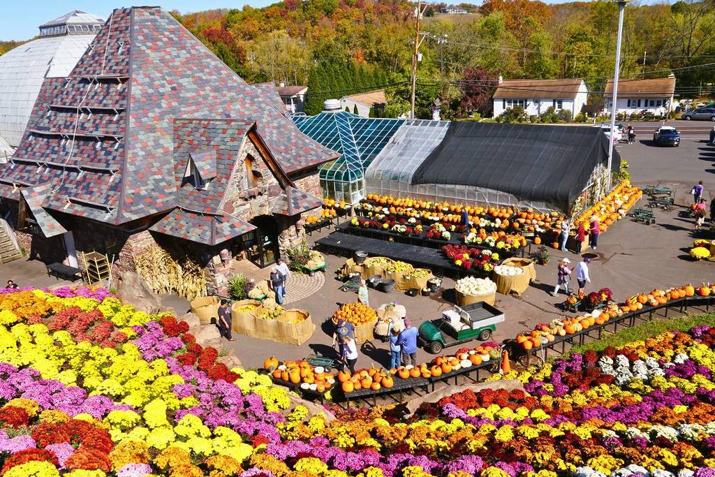 Climb a 40-Foot Mountain Of Mums At This Colorful Fall Destination Just ...