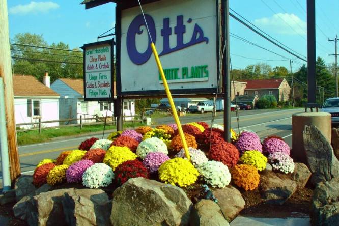 Climb a 40-Foot Mountain Of Mums At This Colorful Fall Destination Just ...