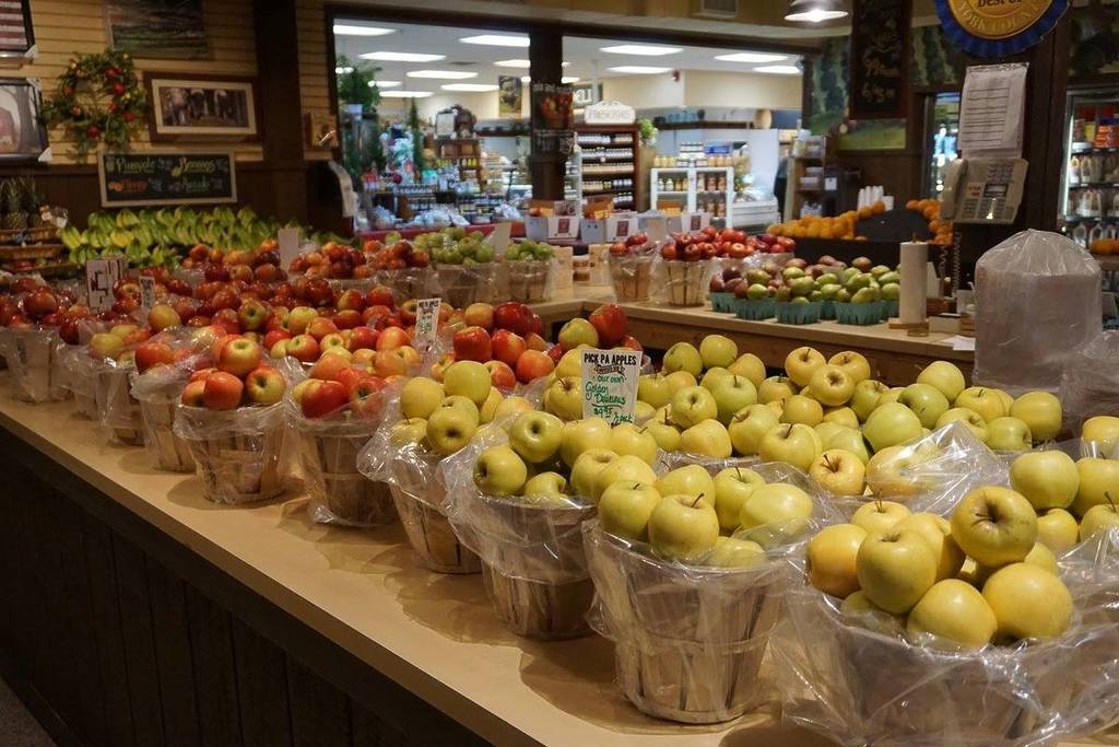 41,000 Apple Trees, Rolling Hills, Cider Donuts, & Fall Magic: Brown's Orchards Named One Of The ...