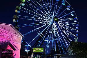2025 Philly Zoo LumiNature Returns With 110-Ft Giant Ferris Wheel