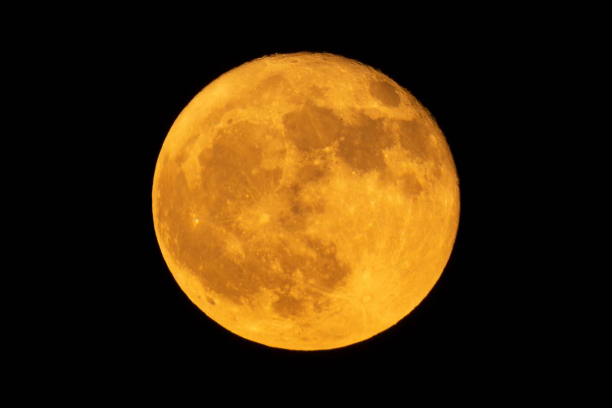 Philly’s Beaver Supermoon Lights Up November Skies