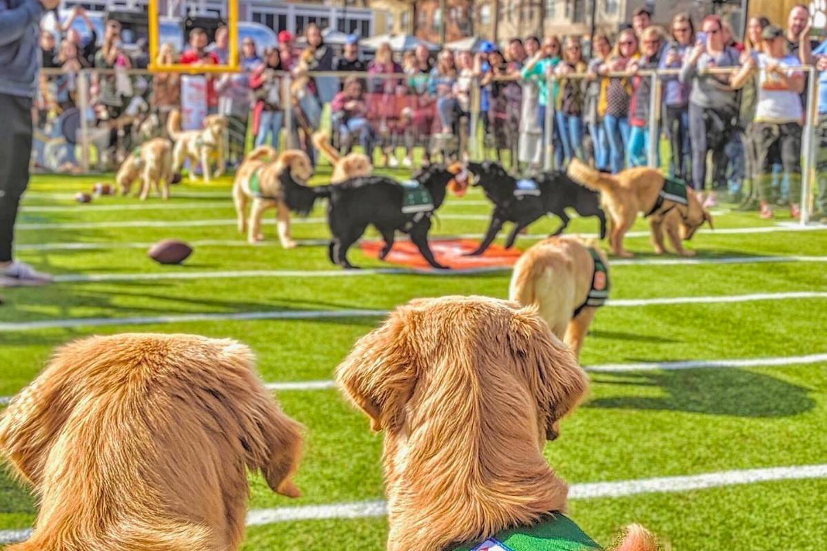 Fetch Park Philadelphia: Dog Park Bar Opens In Manayunk Nov 6