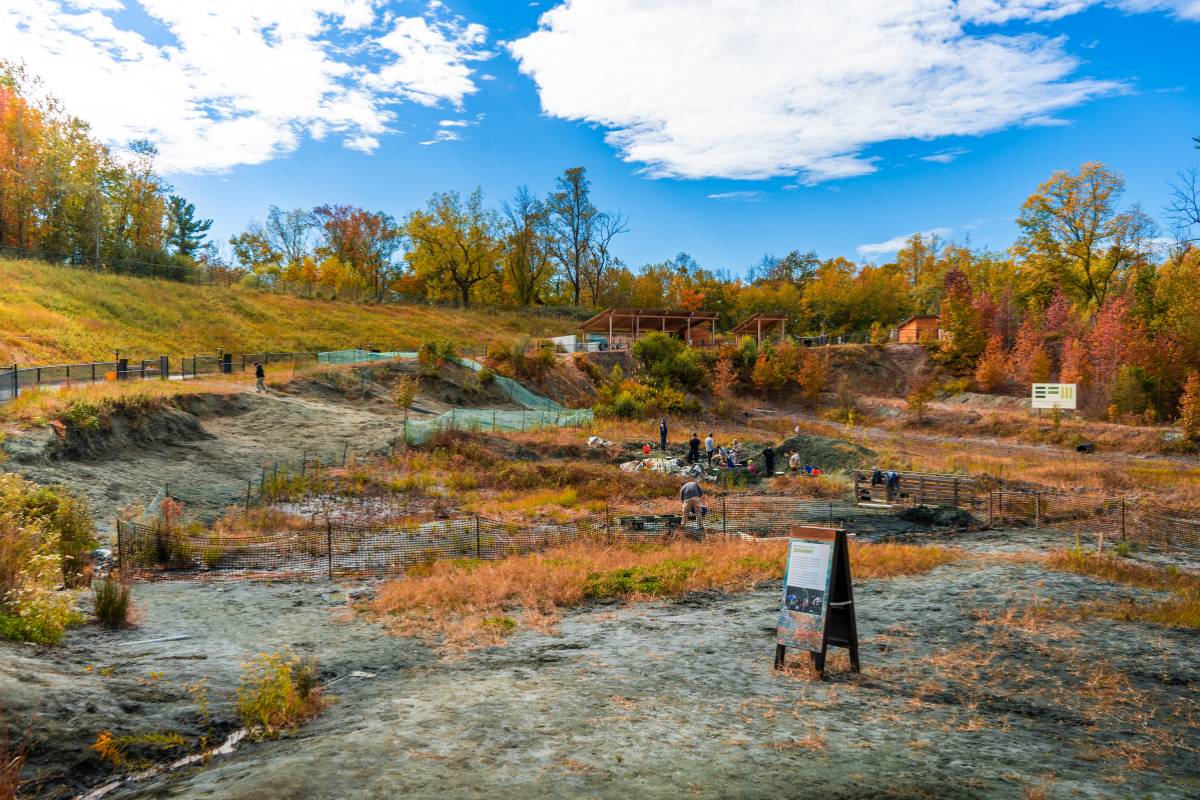 This Fossil Park Near Philadelphia Lets You Dig For 66-Million-Year-Old ...
