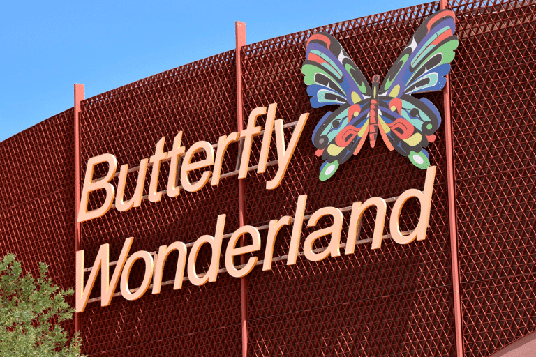 Walk Among Thousands Of Live Butterflies At This Immersive Arizona ...