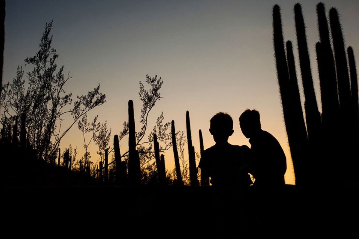 5 Things To Do This August In Phoenix - Secret Phoenix