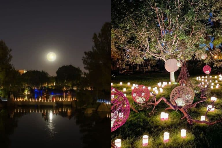 16 Things To Do This October In Phoenix