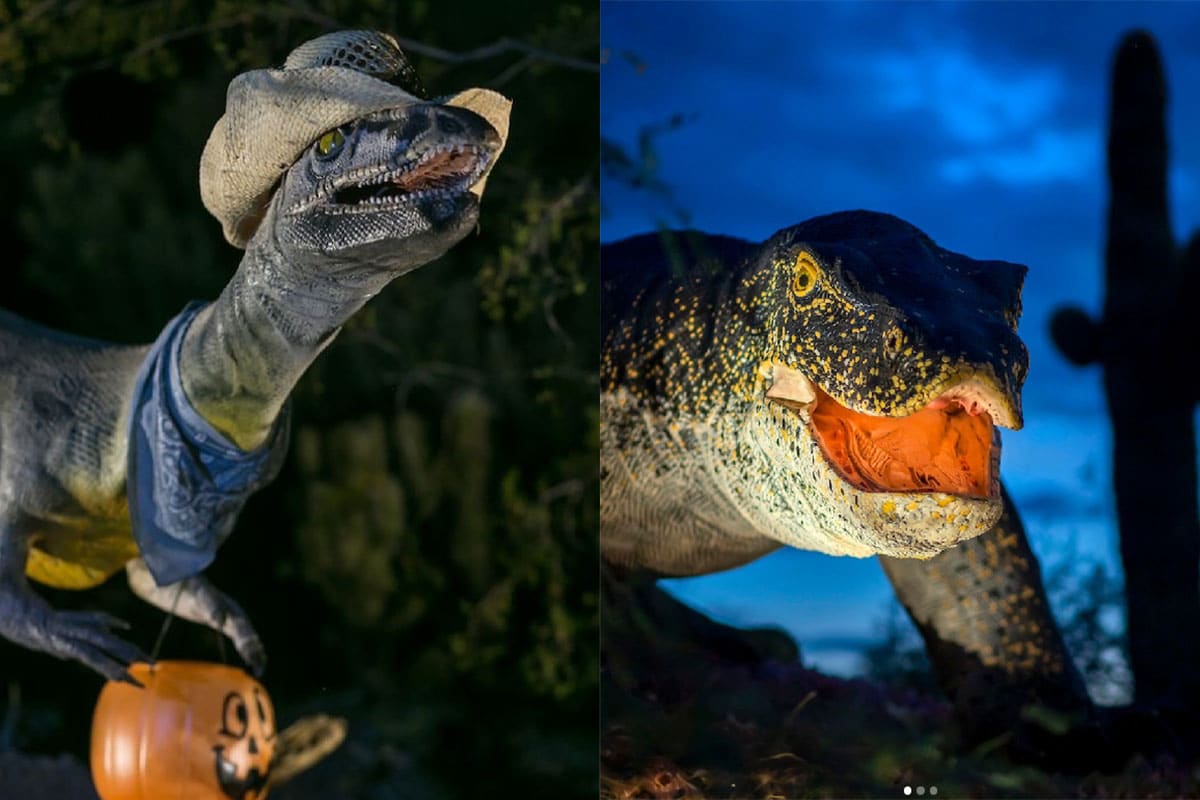 Trick-Or-Treat With Dinosaurs At The Phoenix Zoo