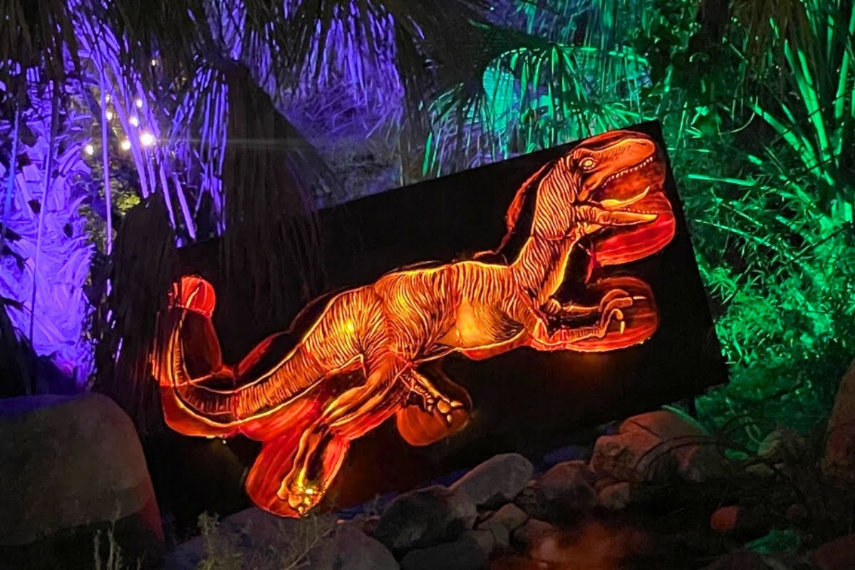 See 5,000+ Art Pumpkins At Phoenix's 'Glowing Pumpkins'