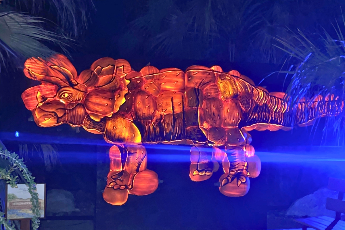 See 5,000 Hand-Carved Pumpkins At Phoenix's Glowing Pumpkins