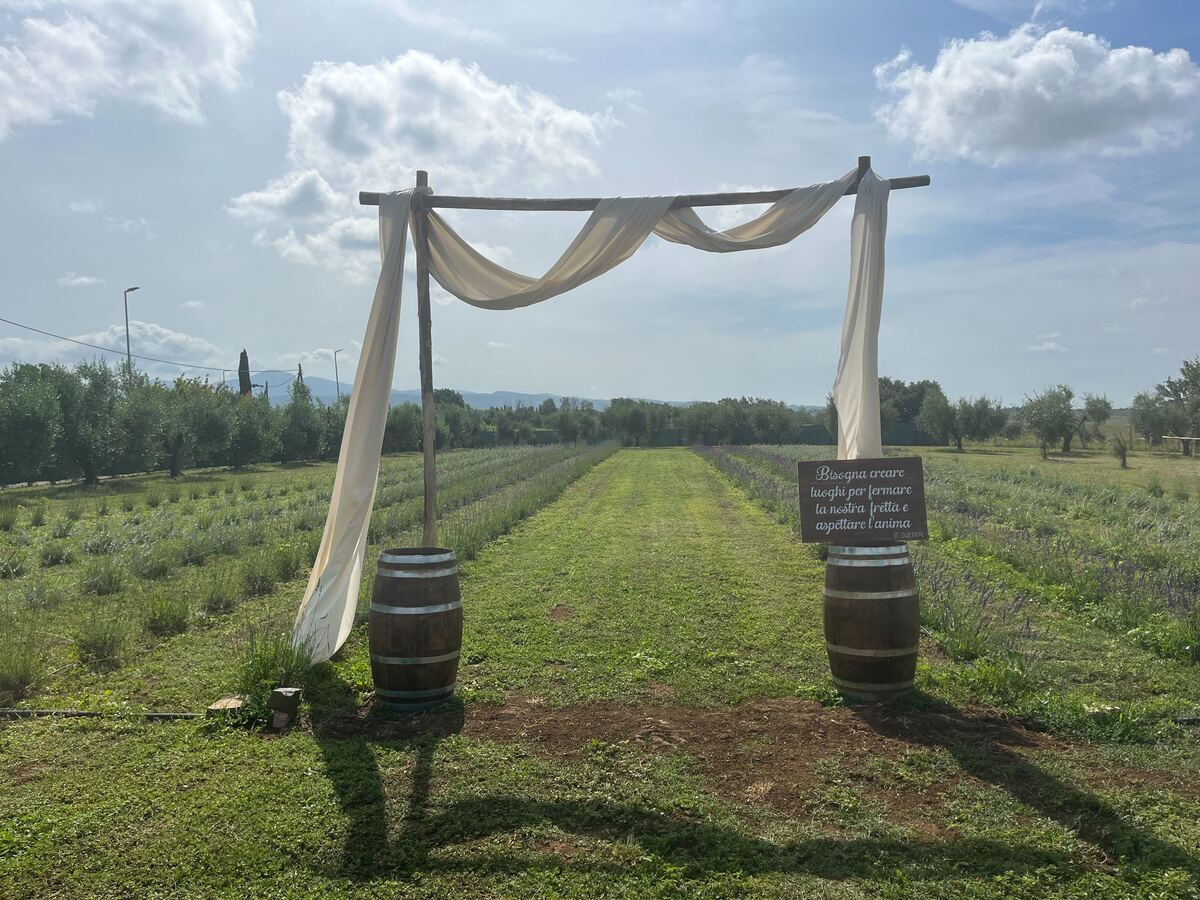 A Roma a giugno potrai visitare un meraviglioso campo di lavanda ...