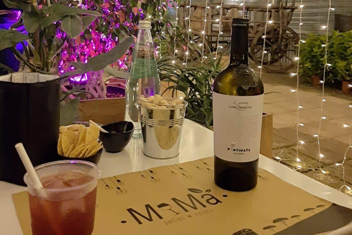 In primavera potrai fare un aperitivo in un vivaio tra piante e animali