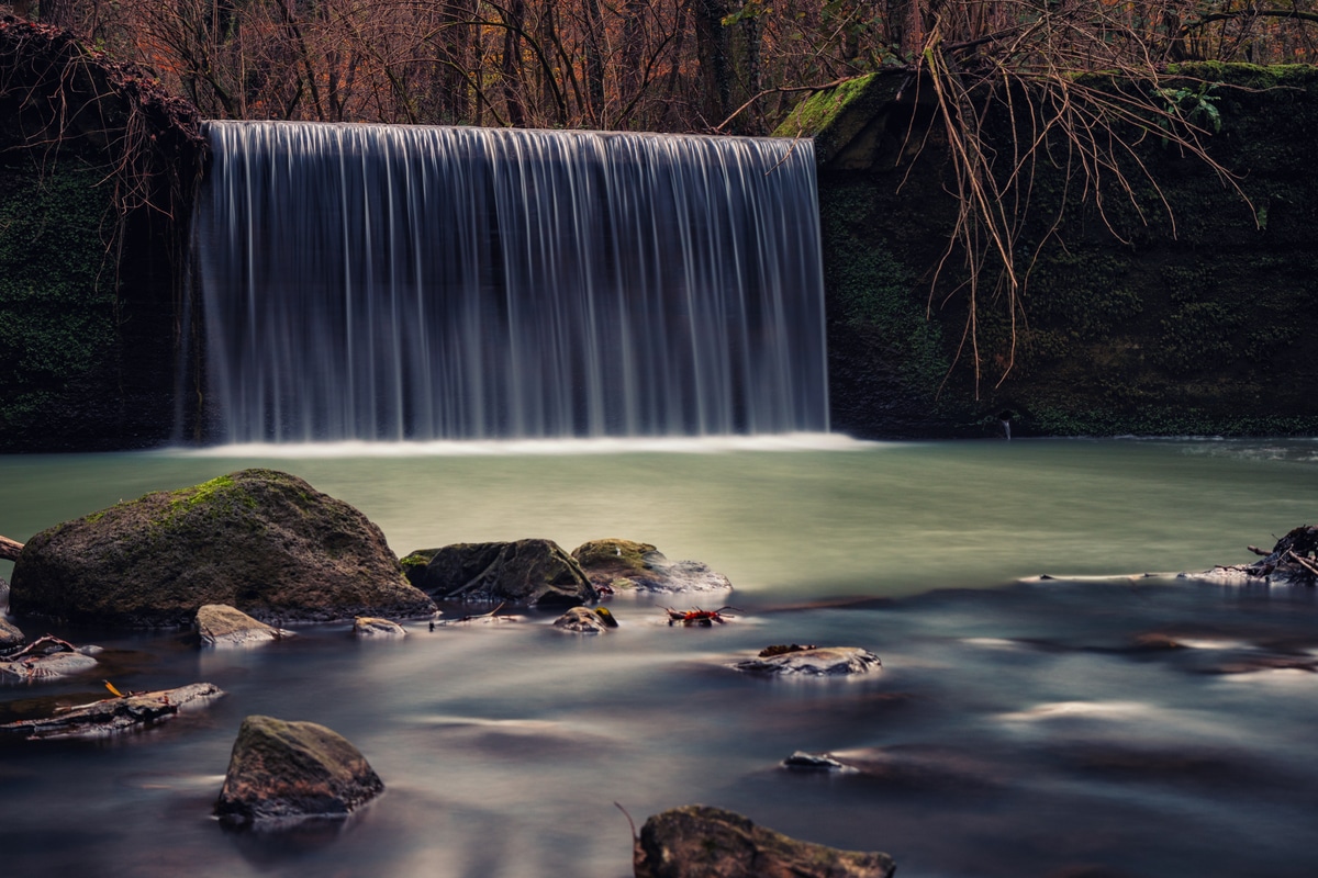 A meno di due ore da Roma puoi visitare il museo dei fiori