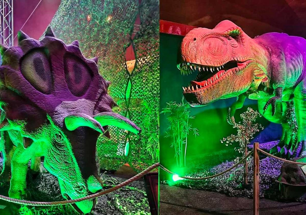 Enter the world of dinosaurs: "Dino Park" arrives in Rome.